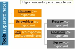 Hyponym And Superordinate Terms - My English Pages