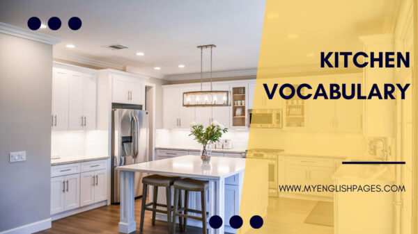 Kitchen Vocabulary: Exploring English Vocabulary