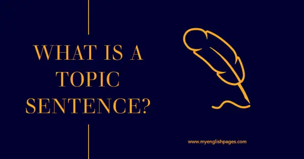 What Is A Topic Sentence In A Paragraph? (A Comprehensive Explanation)