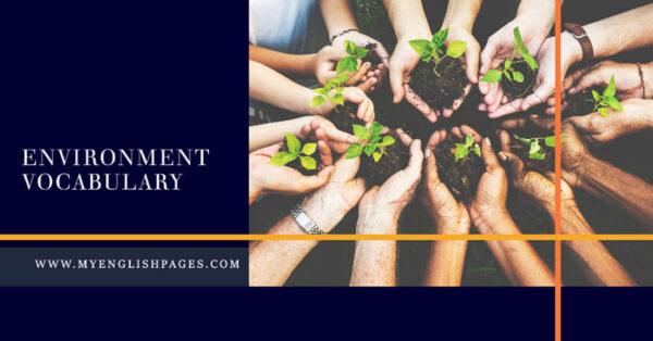 Environment Vocabulary: Exploring English Terminology For Ecological ...