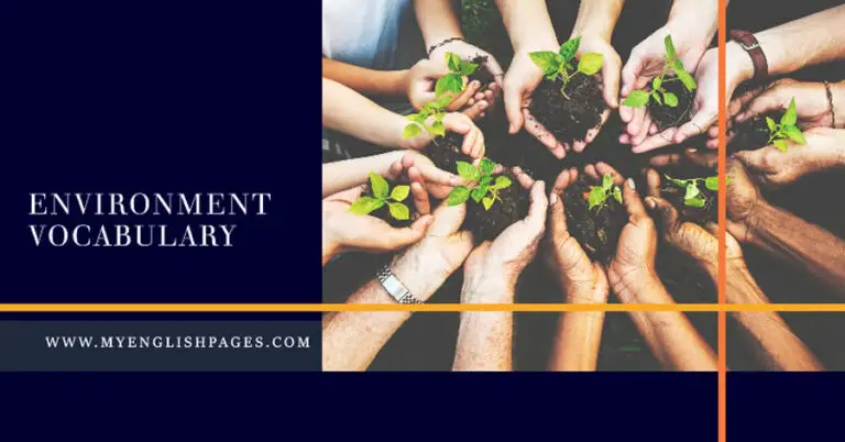 Environment Vocabulary: Exploring English Terminology For Ecological ...