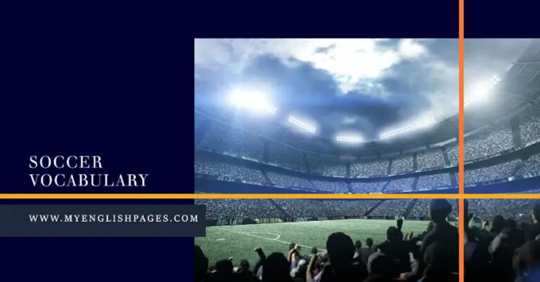 Illustrated Soccer Vocabulary: Comprehensive Guide To Soccer ...