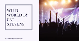 Wild World By Cat Stevens - Songs And Lyrics