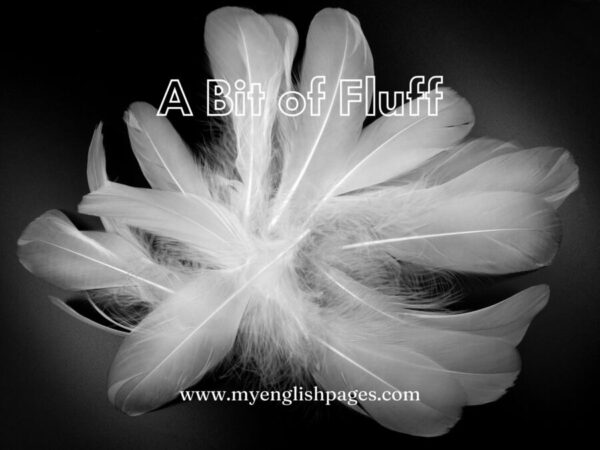 A Bit Of Fluff: Meaning, Origin, And Usage Of This English Idiom