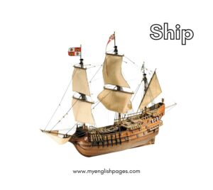 A Clean Bill Of Health - Meaning And Origin