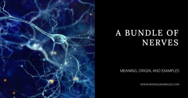 A Bundle Of Nerves - Definition And Examples