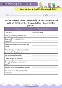 Punctuation Worksheets Bundle: Engaging Resources For Middle School ...