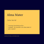 20 Common Latin Expressions Used In English (And How To Use Them)