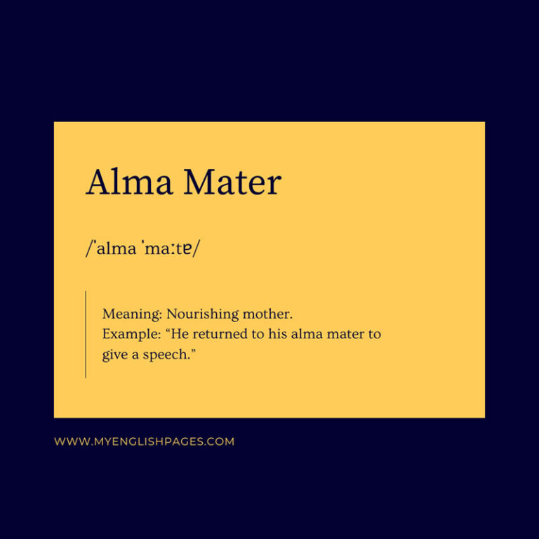 20 Common Latin Expressions Used In English (And How To Use Them)