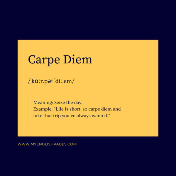 20 Common Latin Expressions Used In English (And How To Use Them)