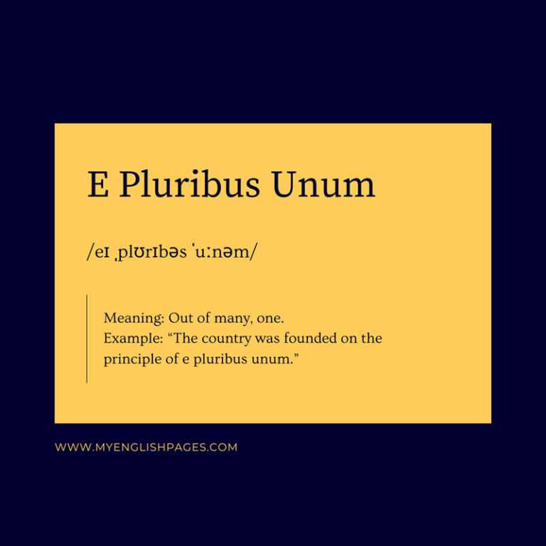20 Common Latin Expressions Used In English (And How To Use Them)