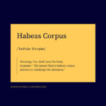 20 Common Latin Expressions Used In English (And How To Use Them)