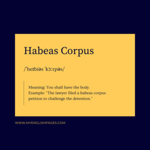 20 Common Latin Expressions Used In English (And How To Use Them)