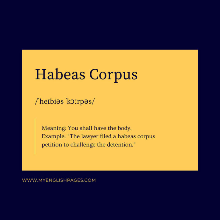 20 Common Latin Expressions Used In English (And How To Use Them)