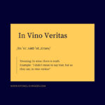 20 Common Latin Expressions Used In English (And How To Use Them)