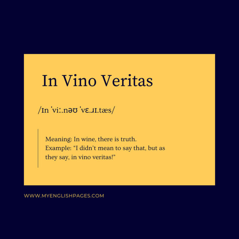 20 Common Latin Expressions Used In English (And How To Use Them)