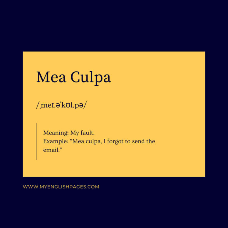 20 Common Latin Expressions Used In English (And How To Use Them)