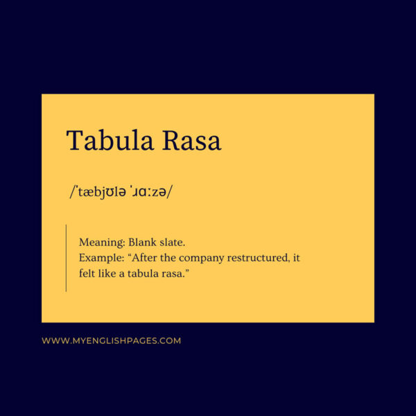 20 Common Latin Expressions Used In English (And How To Use Them)