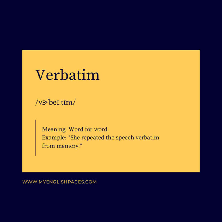 20 Common Latin Expressions Used In English (And How To Use Them)