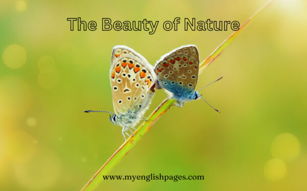 +200 Nature Vocabulary Words: Explore Our Comprehensive Lists
